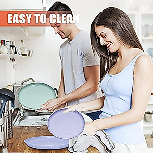 SHECIPIN 12 PACK 6 Inches Lightweight Mini Wheat Straw Plates,Reusable Plate Set Dishwasher & Microwave Safe,Unbreakable Deep Dinner Plates, Plastic Plates Reusable,They are easy to clean BPA free