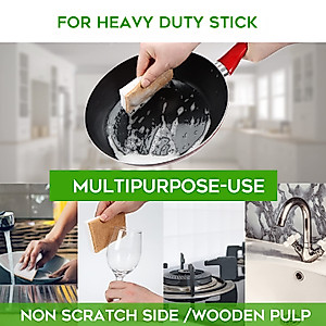 PANYEE Biodegradable Natural Kitchen Sponge，Eco Friendly Sponges for Dishes,Compostable Cellulose Sponge with Natural Plant Based Coconut Walnut Sustainable Scrubber Sponge Pack of 12