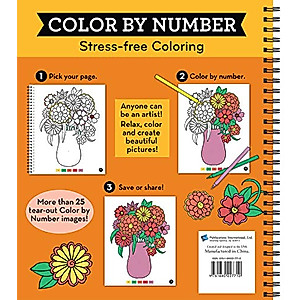 Brain Games - Color by Number: Stress-Free Coloring (Orange)