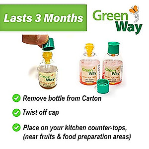 Greenway Traps Fruit Fly Trap (24 Traps) - Indoor and Kitchen Fruit Fly Trap - Eliminates Fruit Fly Infestations - Eliminate Adult Fruit Flies