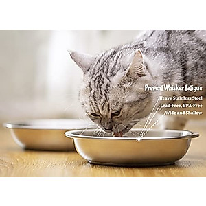 BiteKing Stainless Steel Cat Bowls, Whisker Fatigue Relief Cat Food Dish, Metal Shallow Wide Large Replacement Plate for Dog and Pet, Ideal for Raised Elevated Pet Feeding Station Stand