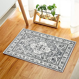 Area Rug 2X3 Door Mat Indoor Entrance Traditional Foldable Rug Soft Fuzzy Persain Pattern Rug Machine Washable Floor Carpet Non Slip Rug for Living Room Bedroom Bathroom Kitchen