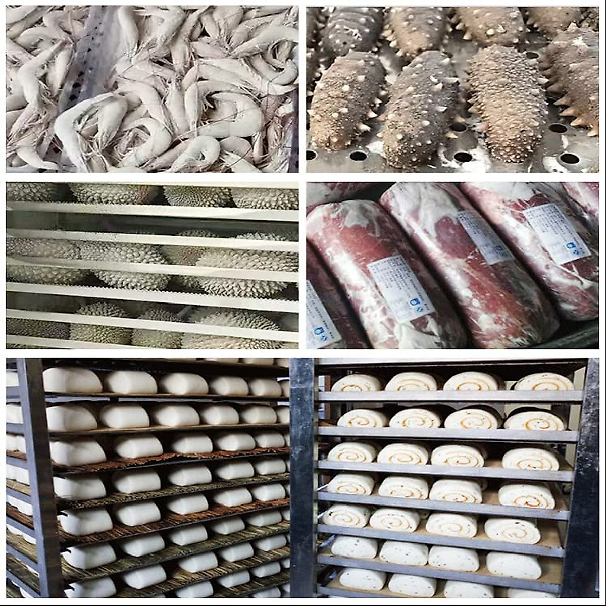 Kolice Commercial 110V 60HZ US 10 trays blast chiller & freezer, chest freezer,batch freezer,blast Freezer for hard ice cream,fresh meat,chicken,fish in hotels, restaurant, bars, canteens