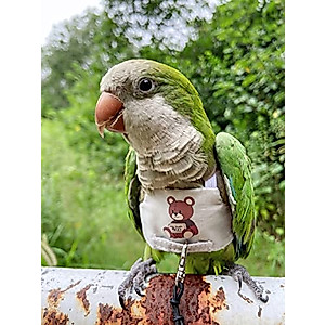 Bird Flight Harness Vest, Parrot Flight Suit with Leash for Parakeets Cockatiels, Bird Flying Clothes with Rope and Handle for Outdoor Activities Training (Bear with Leash,Medium)
