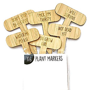 Funny Plant Markers - Joke Punny Garden Stakes - Ideal for That Garden Lover - Indoor Outdoor Plant Label Sign Markers (Joke Set)