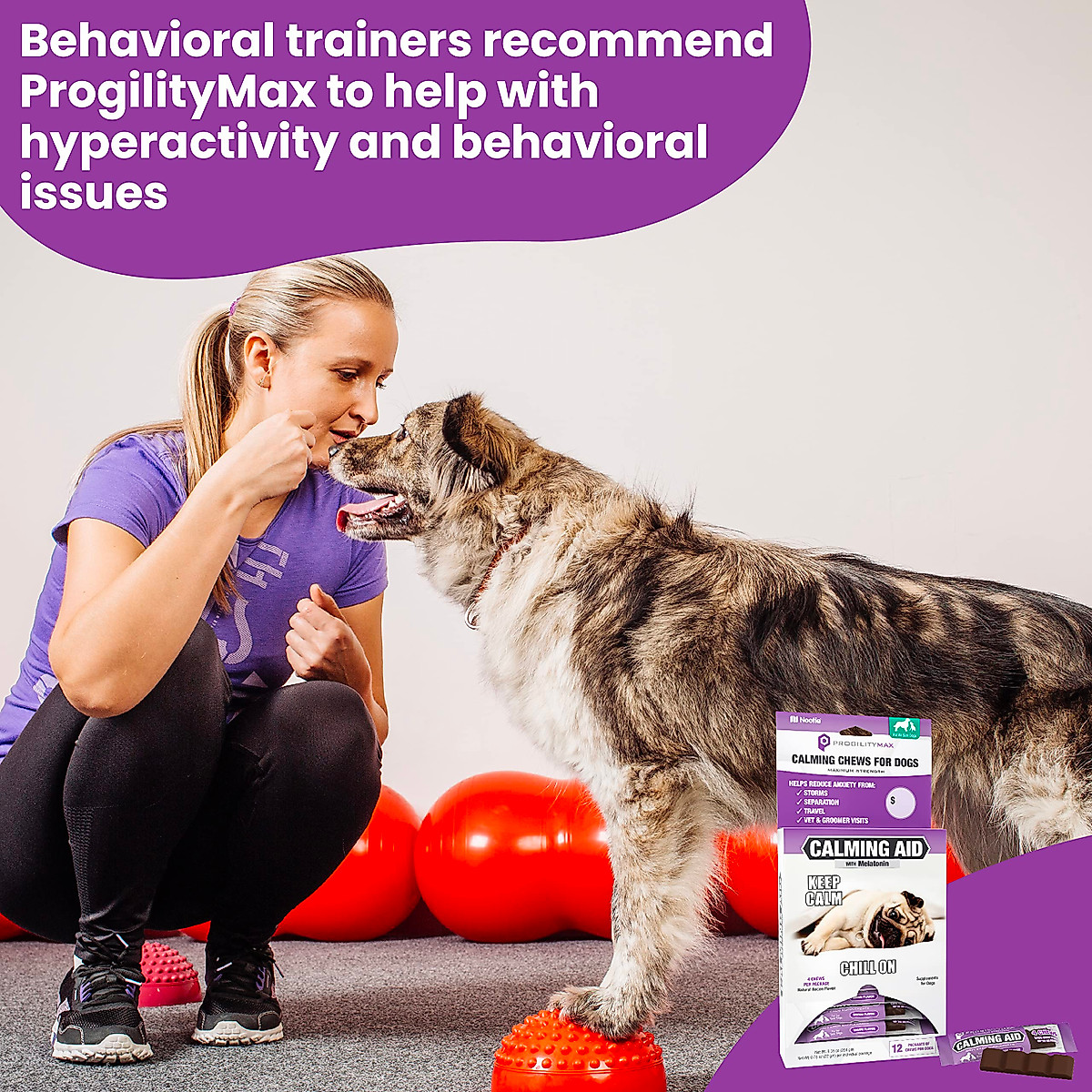 Nootie ProgilityMAX Calming Aid Chews for Dogs, Maximum Strength Calming Support for Dogs with Melatonin, 12 Single-Serve Bars, 4 Chews Per Bar