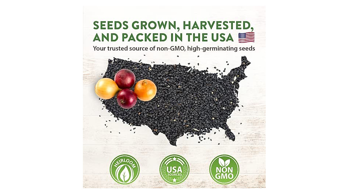 8 Onion Seeds for Planting - 1600 Heirloom Onion Seeds - Green Onion ...