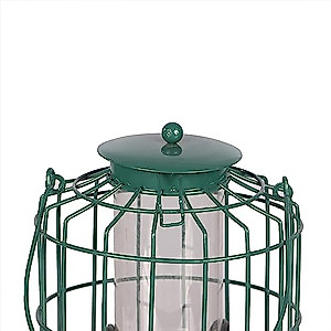 ISALRAY Outdoor Hanging Wild Bird Feeder Cage Squirrel Proof with Large PC Tube Metal Seed Guard Feeder