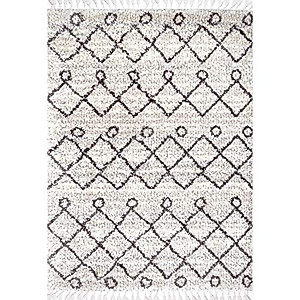 nuLOOM Roseanne Transitional Shag Area Rug, 4' x 6', Ivory