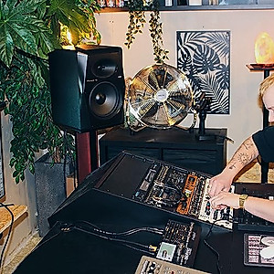 Pioneer DJ VM-80 8-inch Active Monitor Speaker - Black