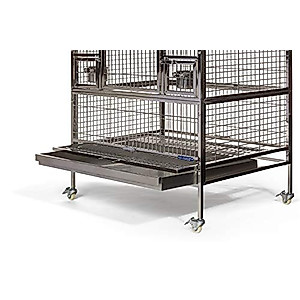 Prevue Pet Products Large Stainless Steel Play Top Bird Cage, Rust Resistant Metal Cage for Birds with Rooftop Ladder and Playtop