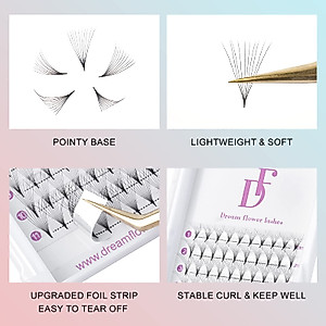 12 Colors Lash Extensions 10D DF Premade Fans Eyelash Extensions 14mm D Curly Color Lashes Volume Lash Extensions（color-10D-0.07D-14mm）