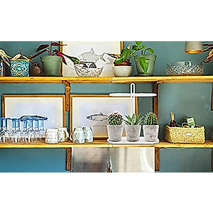 DIGLAB Indoor Garden Led Grow Light:Herb Seeds Kitchen Garden Grow Kit - House Plant Growing Lamps Growing System with Timer