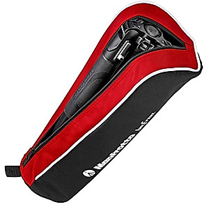 Manfrotto Befree GT 4-Section Aluminum Travel Tripod with 496 Center Ball Head, Black/Silver