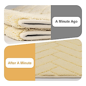 Tindbea Dog Mat for Muddy Paws,Absorbs Moisture Dirt Non-Slip Washable Mud Mat for Dogs,Soft Rubber Backing Front Inside Pet Rug for Entryway, Mud Dog Paws, Patio(24"x35", Blue)