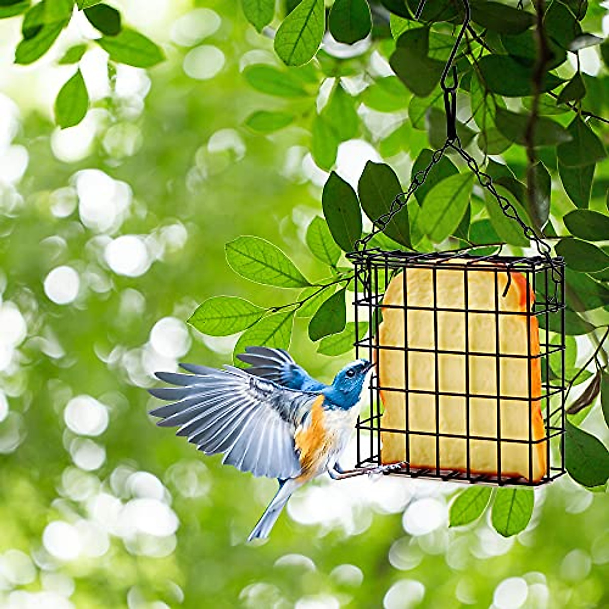 Shitailu 2Pcs Suet Bird Feeders, Outdoor Garden Cages, Suet Feeder for Outside Hanging, Wild Bird Feeder, Single Suet Cake Bird Feeders, One Suet Capacity