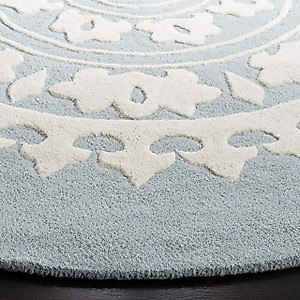 SAFAVIEH Soho Collection 4' Round Light Grey/Ivory SOH732K Handmade Premium Wool & Viscose Area Rug