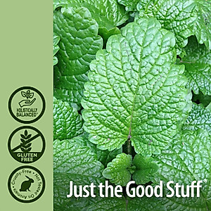 PerioClear Alcohol Free Mouthwash 16oz | Naturally Whitens Teeth | Freshens Breath | Removes Plaque | Minimizes Dry Mouth