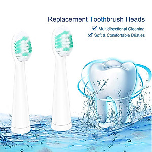 DHMXDC Electric Toothbrush Brush Head x 4 and Hygienic Cap for Models of DHMXDC Sonic Toothbrushes
