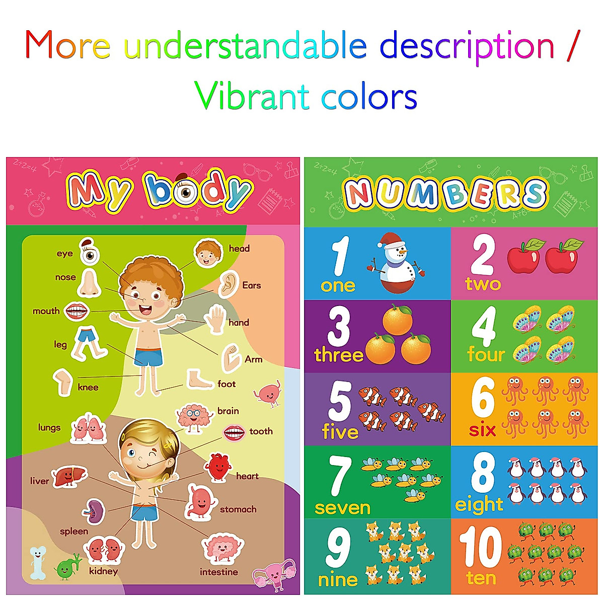 Choclaif Educational Posters for Kindergarten, Elementary School. Classroom Posters with Glue Point Dot for Classroom Decor, Preschool Learning Activities, and Homeschool Supplies(14PCS)