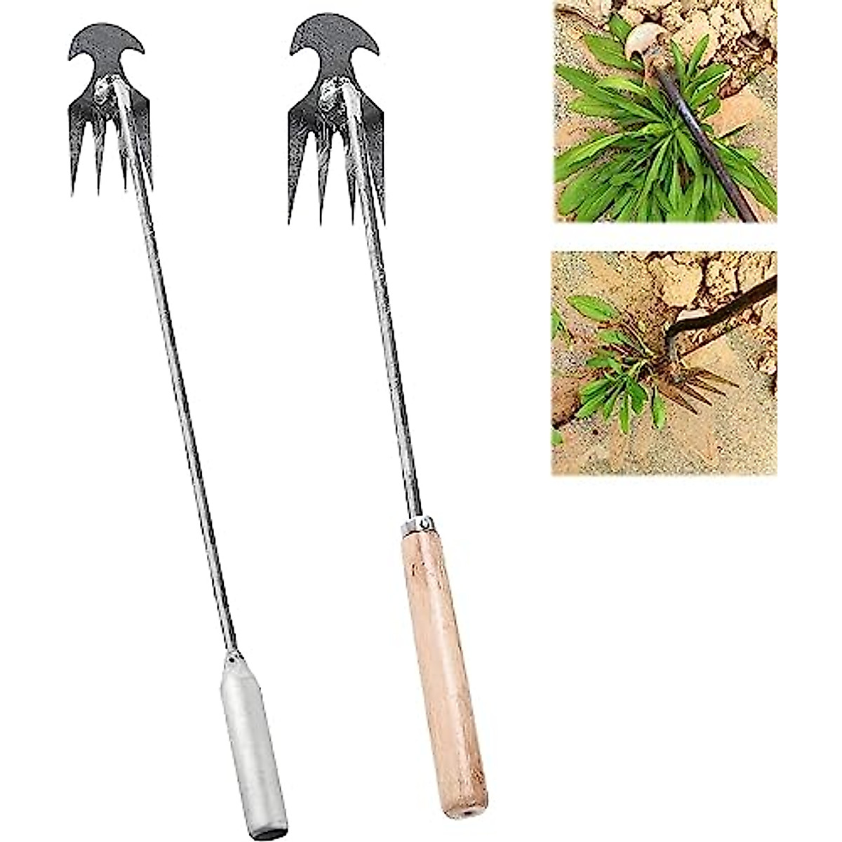 olybell Stainless Weeding Artifact Uprooting Weeding Tool, Stainless Steel Forged Weed Puller 4 Teeth Dual Purpose Weeder, Hand Weeder Tool for Gardening with Long Handle (Black)