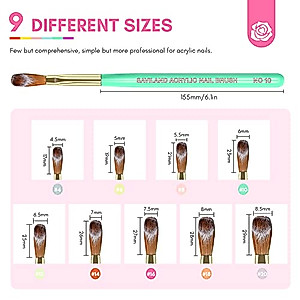 Saviland 9PCS Acrylic Nail Brush Set - Kolinsky Acrylic Nail Brushes for Acrylic Application, Size 4/6/8/10/12/14/16/18/20 Acrylic Powder Brushes for Acrylic Nails Extension & 3D Nail Carving
