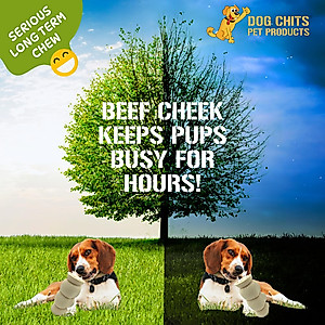 Dog Chits Beef Cheek 6", 4 Pack, Dog and Puppy Chews, Thick, Lasts for Days, 100% Cheek (not Hide), Single Ingredient, All Natural, Fully Digestible