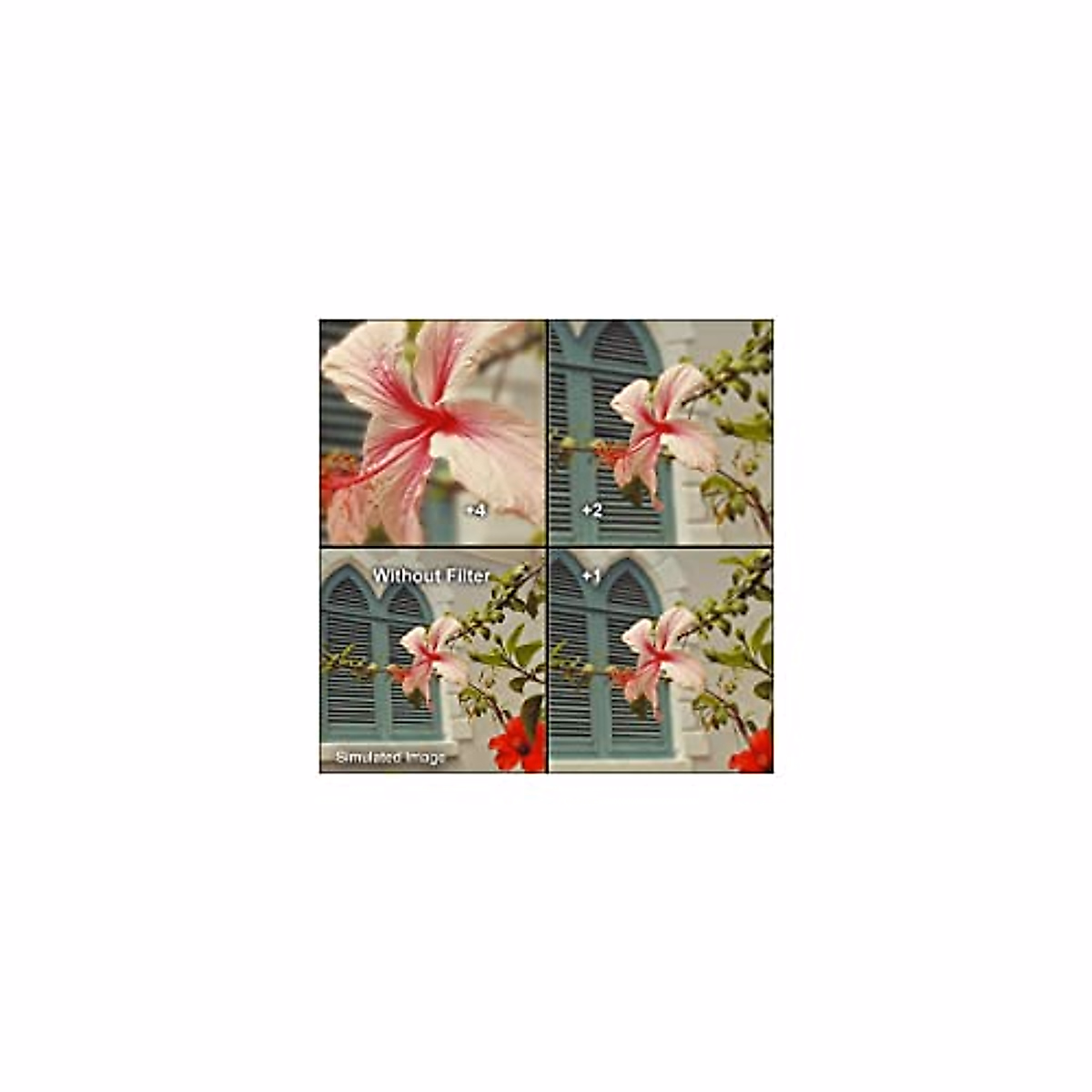 Hoya Close-Up Kit – Filter Set for Macro Photography (+ 1, 2, 4, 82 mm Black