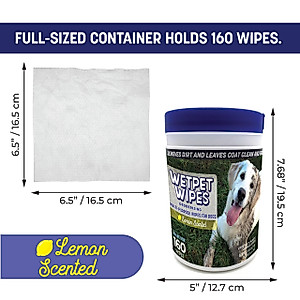TMD Healthcare WETPET Wipes for Dogs, Lemon Scented, Grooming Wipes Remove Dirt & Grime, Deodorizing Easy to Use for Dogs & Puppies, Safe on Skin and Fur Single Pack