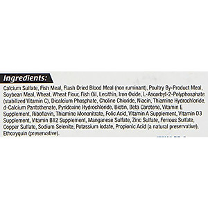 Zoo Med Laboratories AZMBB3 Giant Banquet Block Feeder, 1 Count (Pack of 1)