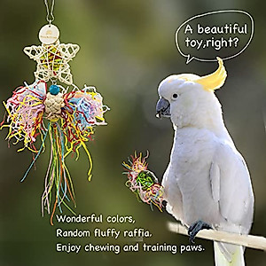Duckiimo Bird Parrot Shredding Toys, Parakeet Chewing Foraging Toys, Bamboo Rattan Loofah Parrot Cage Hanging Shredder Toys for Parakeets, Conure, Cockatiels, Budgies, Amazon Parrots 9.5" 14.2"