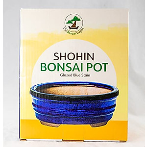 Oval Shohin Bonsai Pot, Cactus & Succulent Planter + Mesh 6"x 4.5"x 2.5" - Blue Stain Glazed