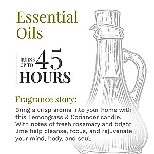 Essential Elements by Candle-lite Scented Candles, Lemongrass & Coriander Fragrance, One 14.75 oz. Three-Wick Aromatherapy Candle with 45 Hours of Burn Time, Off-White Color