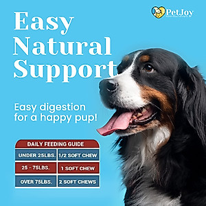 PetJoy Complete Heart Health | Omega Heart Soft Chew | Omega-3 Fatty Acids EPA, DHA, Vitamin E | Reduce Shedding & Itching | Dog Skin & Coat Supplement | Joints, Brain, Heart Health | 30 ct