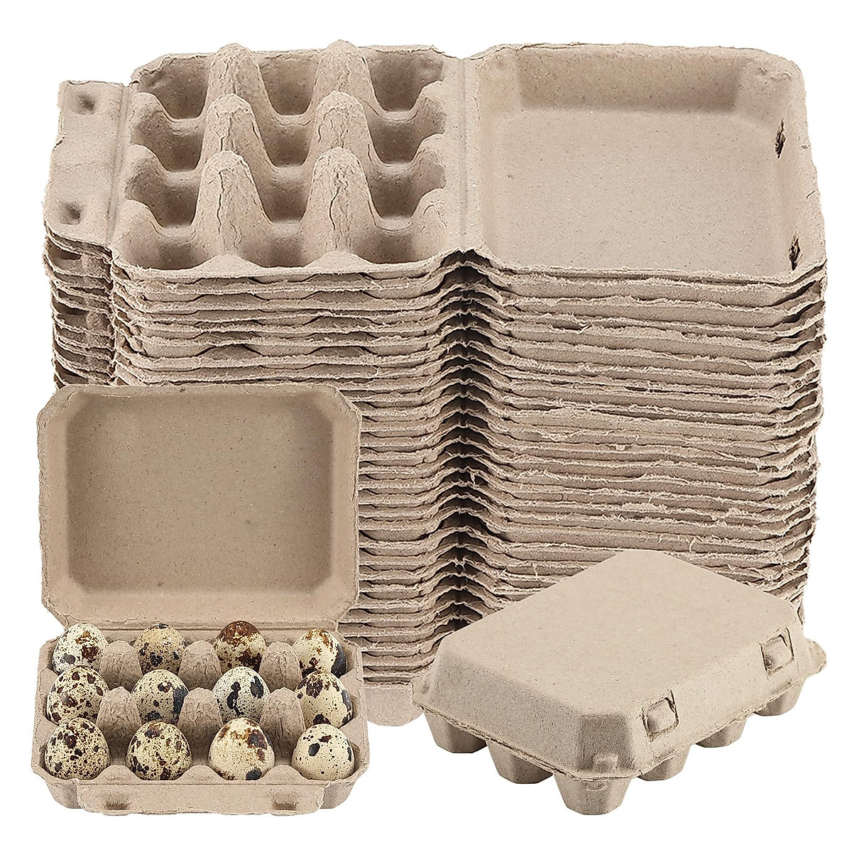 LayHyand Quail Egg Cartons - 30 Pcs Durable Holders
