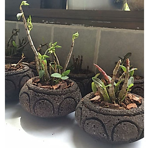 KamelarLava Succulent Pot, Bonsai Pot, Gray Carved Oval Pot, 6 ", Volcanic Pot, one Piece of Packaging