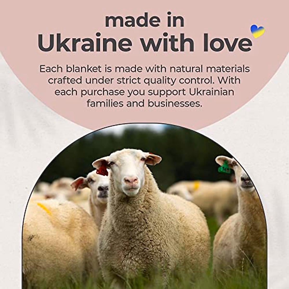 Cozy Blankets Wool Blanket | 100% Wool from New Zealand | Perfect as a Throw Blanket / Sofa Blanket | Virgin Wool Blanket with Fringes in Stripes Designs (140 x 200 cm)