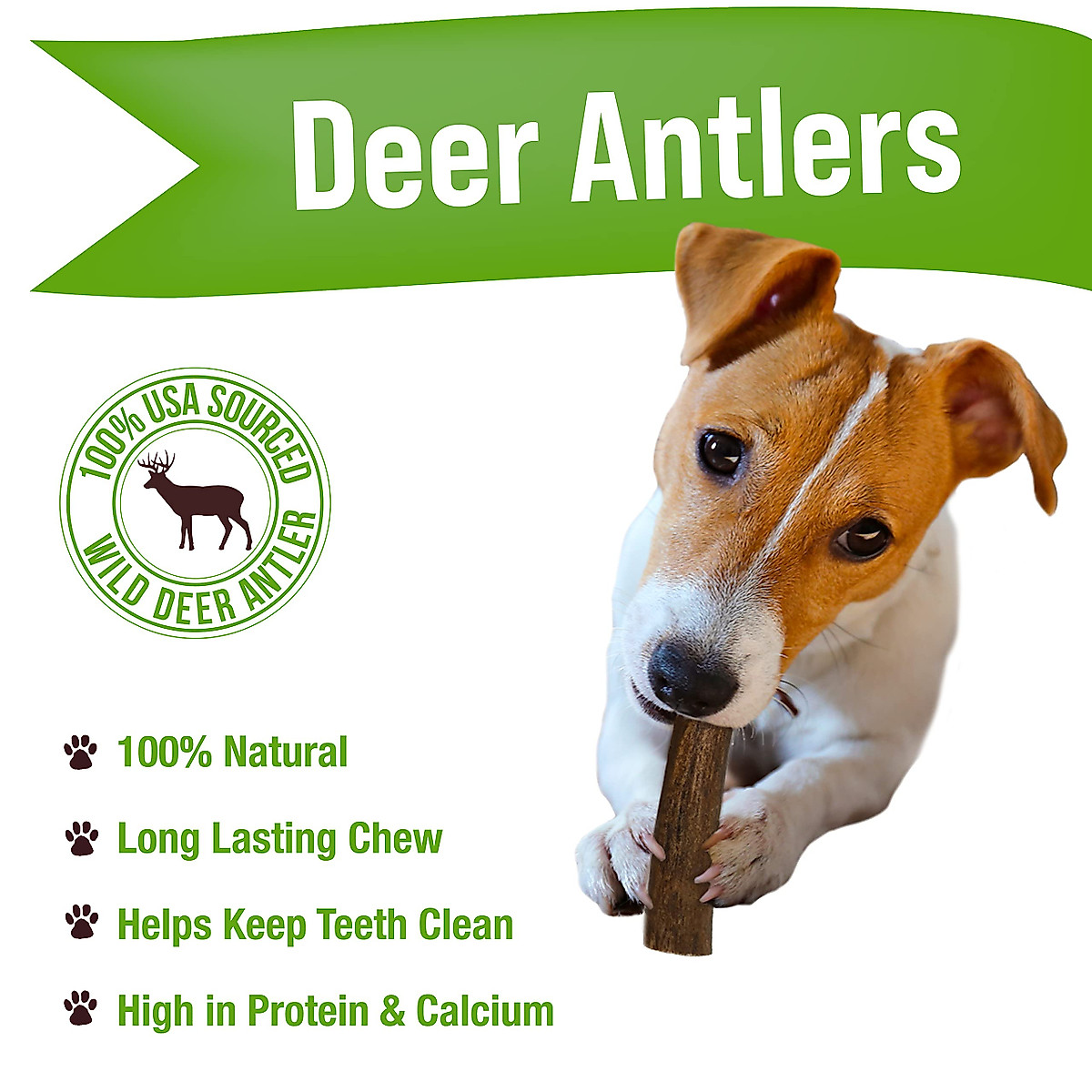 Buck Bone Organics Deer Antler Dog Bones, Premium Grade A - Natural Dog Treat, Made in Montana (Medium)