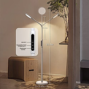 Syrinx 3 in 1 LED Floor Lamp, Desk Lamp, Clamp-on Lamp With Remote Control, 5 Brightness Levels & 5 Colors Temperatures, Dimmable, Adjustable Gooseneck Pole Lamp for Living Room Office Bedroom - White