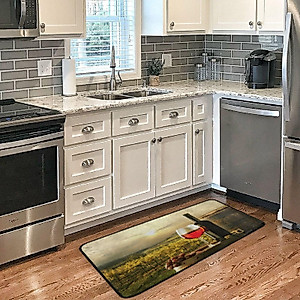 Kitchen Rugs Mats Non Skid 39 X 20inch Throw Rugs for Kitchen Floor Sink Standing Carpets Entryway Rugs (Red Wine and Bottle)