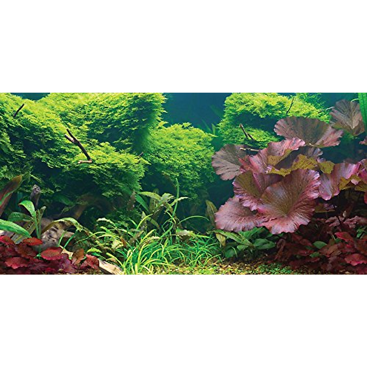 SPORN Aquarium Background, Static Cling, Tropical, 24" x 12"