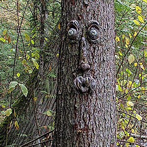 INNOLITES Tree Faces Decor Outdoor,Tree Face Outdoor Statues Old Man Tree Hugger Bark Ghost Face Decoration Funny Yard Art,Tree Decorations Outdoor for Halloween Easter Garden Creative Props. (C)