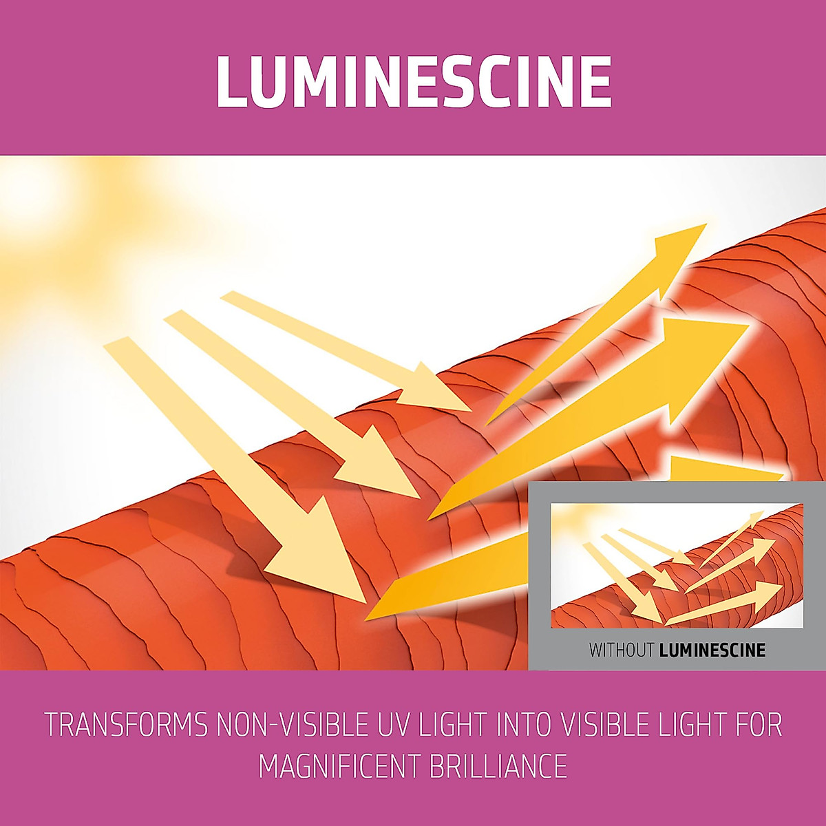 Goldwell Dualsenses Color Brilliance Conditioner, 10.1 Fl Oz (Pack of 1)