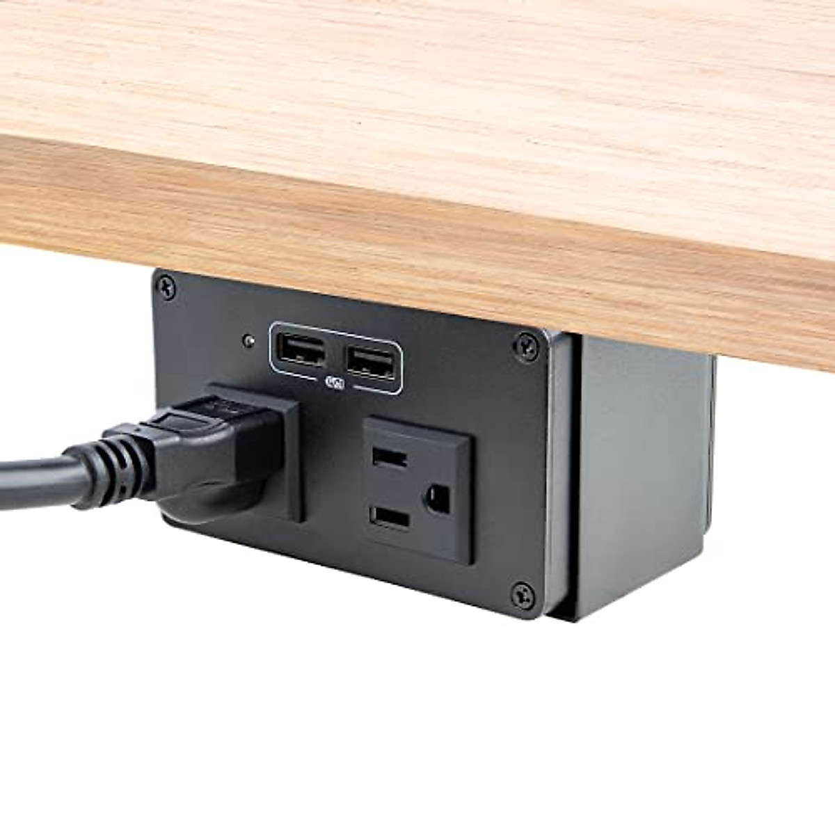 StarTech.com Power Outlet Module for Conference Table Connectivity Box - 2X AC Power and 2X USB-A - Power and Charging Hub (MOD4POWERNA)
