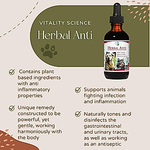 Herbal Anti for Dogs - Promotes a Normal Inflammatory Response