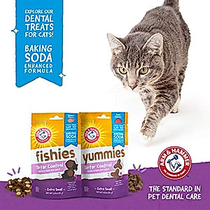 Arm & Hammer for Pets Cat Dental Care Cat Treats, Yummies | Tartar Control Cat Treats for Adult Cats in Delicious Tuna Flavor Baking Soda Cat Treats, XS (2.5 oz)