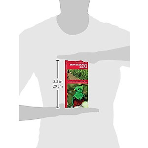 Monteverde Birds: A Folding Pocket Guide to Familiar Species of Costa Rica's Monteverde Cloud Forest (Nature Observation International)