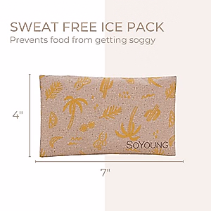 SoYoung Reusable Ice Packs for Lunch Bags, Long Lasting Freezer Pack for Lunch Box, Non-Toxic, Lightweight and Slim Cool Pack for Travel, Food, Beach, Condensation Free