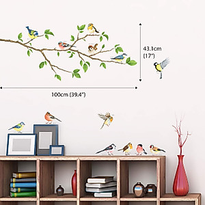 DECOWALL DWL-1804N Garden Birds on Tree Branch Kids Wall Stickers Wall Decals Peel and Stick Removable Wall Stickers for Kids Nursery Bedroom Living Room décor