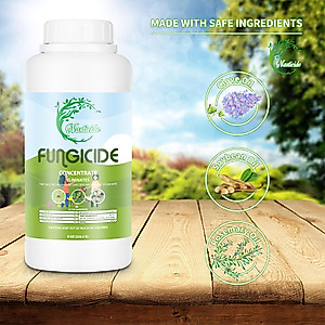 Nasticide Fungicide Made of Plant extracts, Natural Fungicide for Plants, Pesticide Concentrate Spray, Organic Disease Control Fungicide for Lawns, 8oz